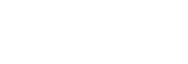 OMG - Capital funds - SpinTek Solutions